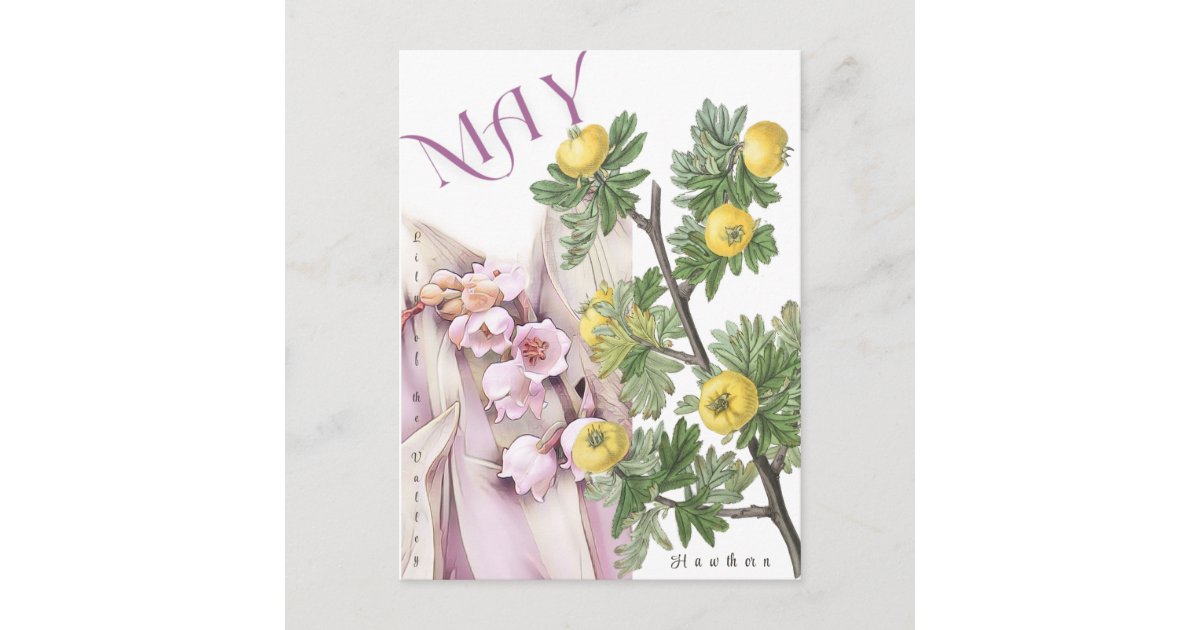 May Month Flower Lily of the Valley Hawthorn Fancy Postcard | Zazzle