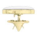 Mayflower Lapel Pin Round and Gold Plated Wedgwood | Zazzle