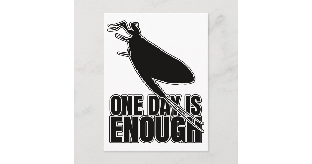 Mayflower One Day Flies – Entomology Geek Postcard | Zazzle