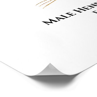 Mayfly Poster | Zazzle