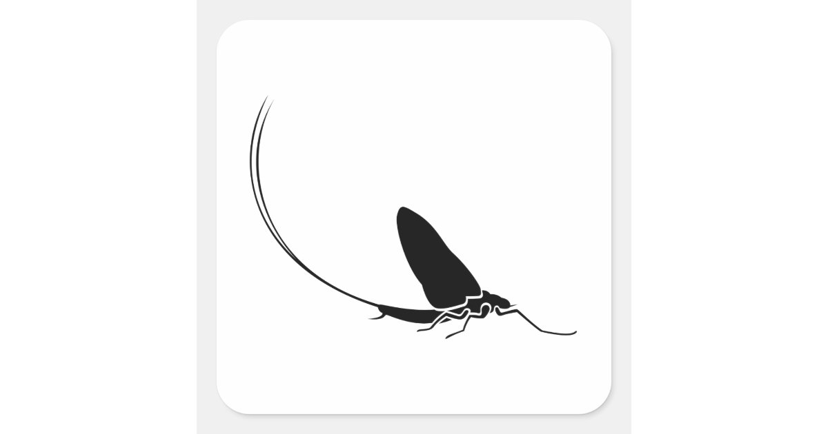 Mayfly Square Sticker | Zazzle