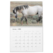 McCullough Peaks Wild Horses Calendar | Zazzle