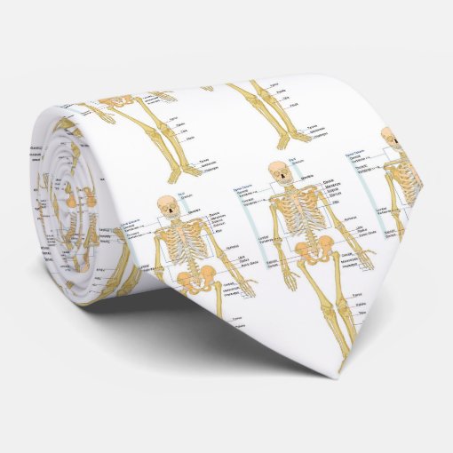 Medicine: Anatomy Tie | Zazzle