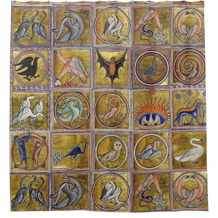 MEDIEVAL BESTIARY, FANTASTIC ANIMALS,GOLD RED BLUE SHOWER CURTAIN ...