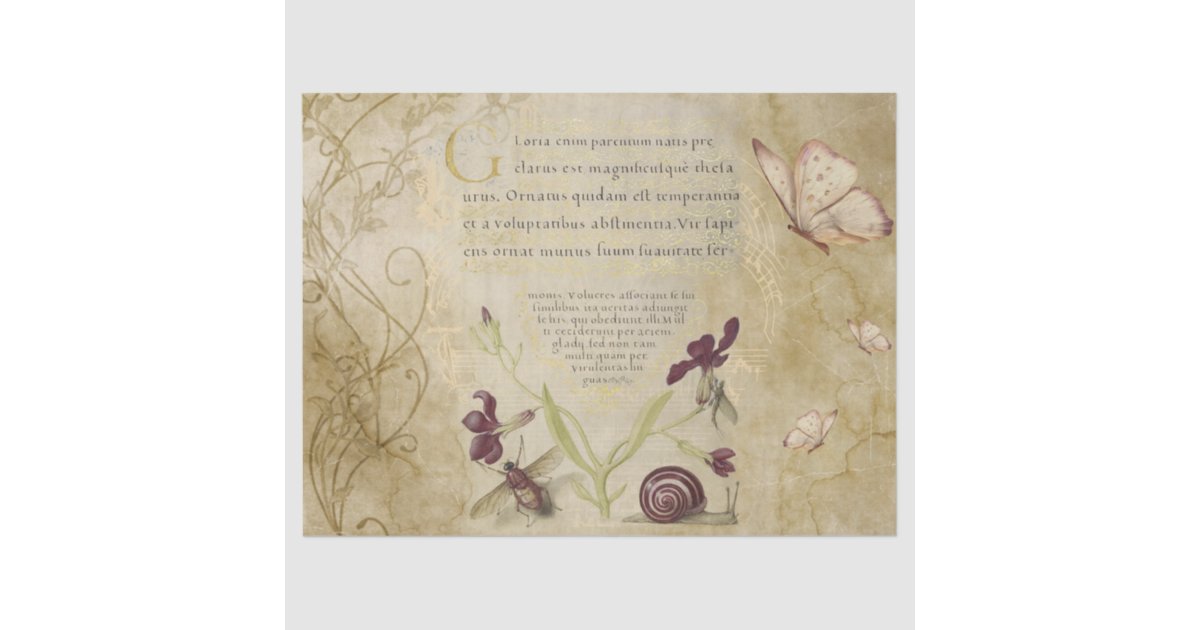 Medieval Calligraphy with Nature Tissue Paper | Zazzle