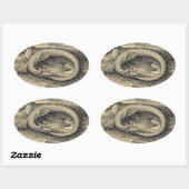 Medieval Ouroboros Dragon Oval Sticker | Zazzle