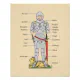 Medieval Plate Armor Circa 1430 Photo Print | Zazzle