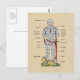 Medieval Plate Armor Circa 1430 Postcard | Zazzle