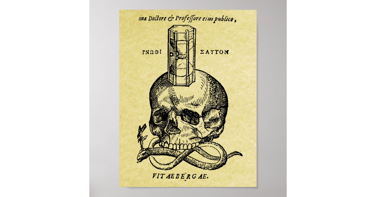 Medieval woodcut skull poster print | Zazzle