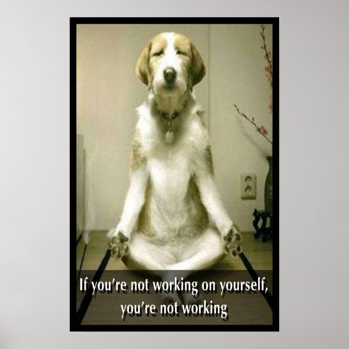 Meditating Dog Poster | Zazzle.com