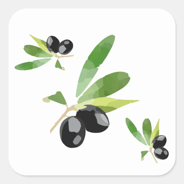Mediterranean Olives Sticker | Zazzle
