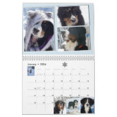 Medium Berner Nation Babes 2017 calender Calendar | Zazzle