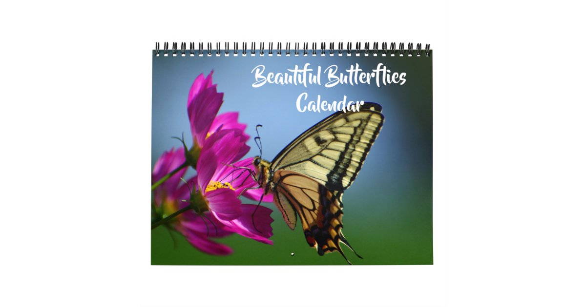 Medium Size Beautiful Butterflies Calendar | Zazzle