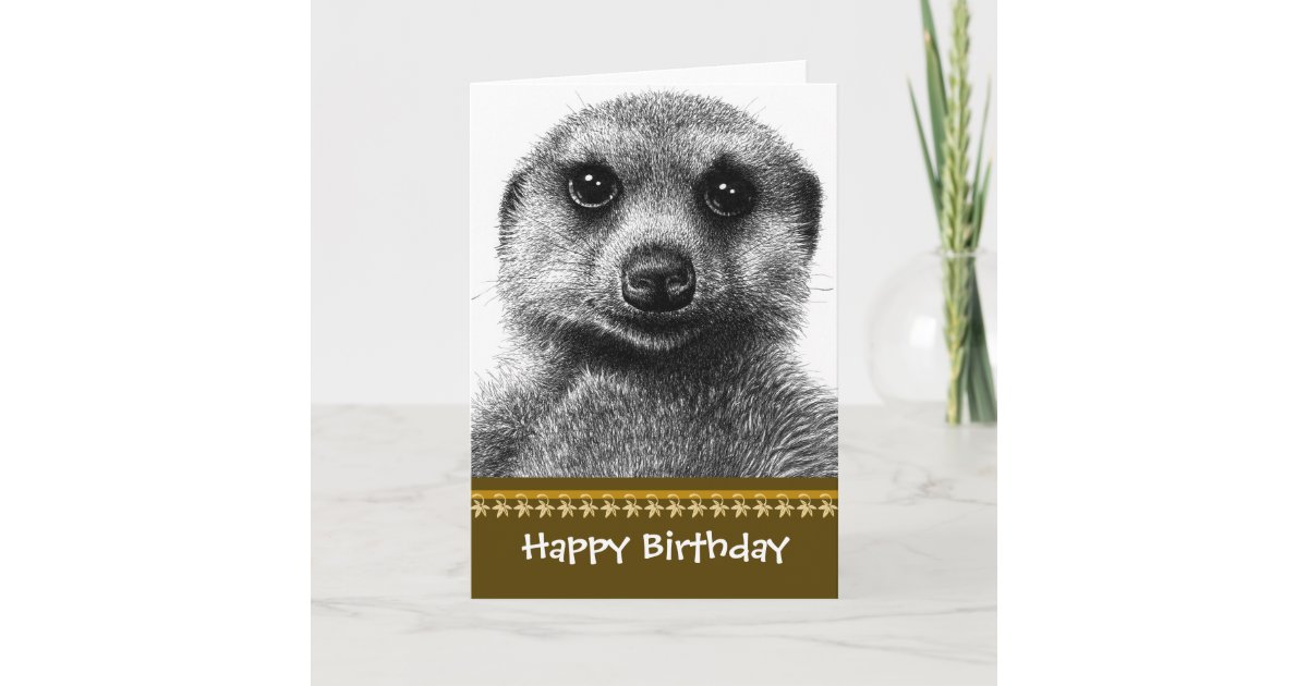 Meerkat Birthday Card | Zazzle