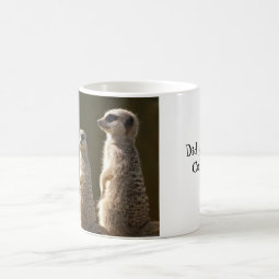 Meerkat Mug | Zazzle