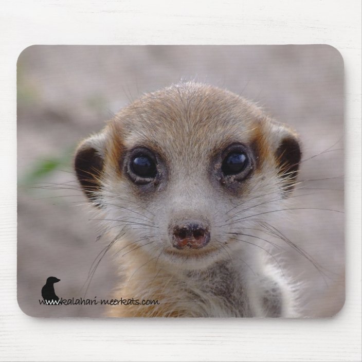 Meerkat Pup Mousepad | Zazzle.com