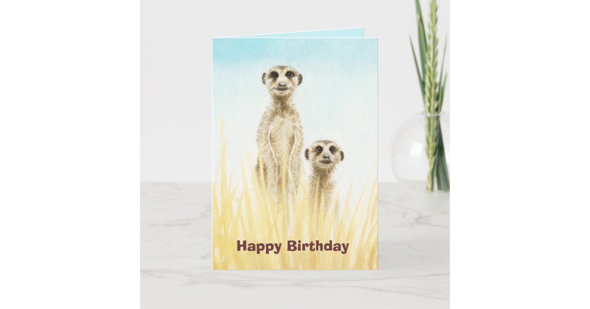 Meerkats Birthday Card | Zazzle