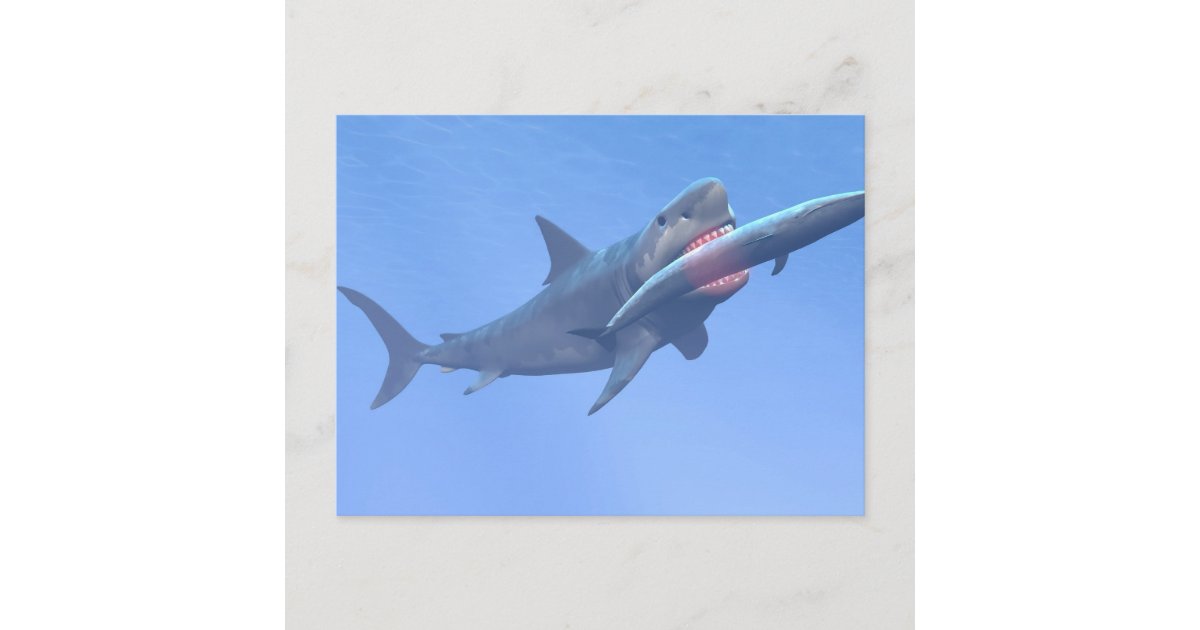 Megalodon eating a whale postcard | Zazzle
