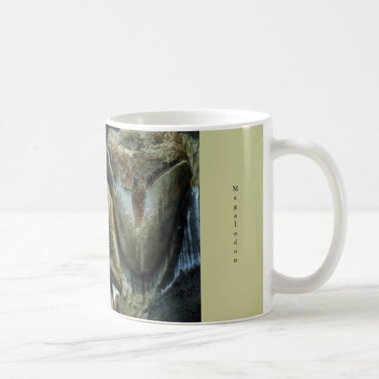 Megalodon Fossil Shark Teeth Mug | Zazzle.com