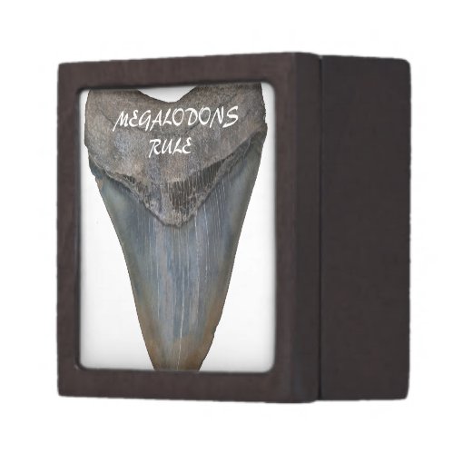 Megalodon Shark Tooth Gift Box | Zazzle