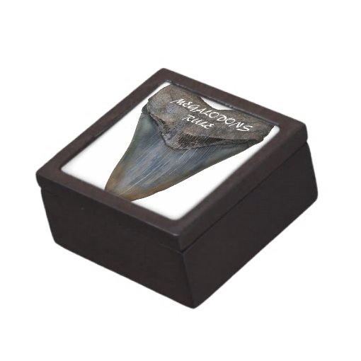 Megalodon Shark Tooth Gift Box | Zazzle