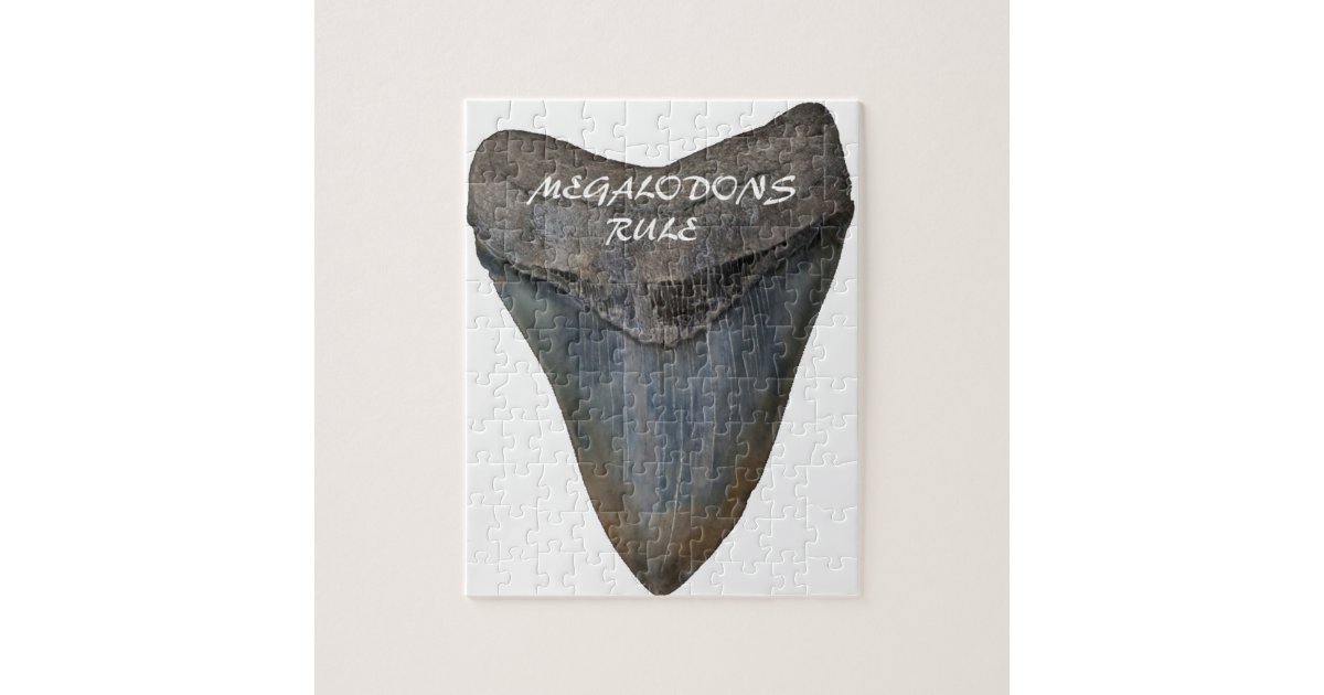 Megalodon Shark Tooth Jigsaw Puzzle | Zazzle