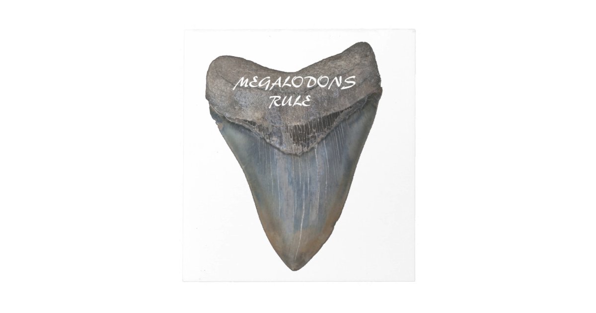 Megalodon Shark Tooth Notepad | Zazzle