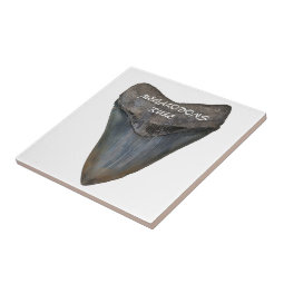 Megalodon Shark Tooth Tile | Zazzle