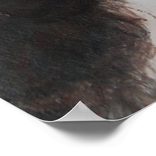 Meher Baba Beloved Poster | Zazzle