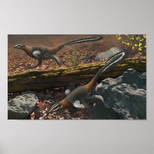 Mei Long Print | Zazzle