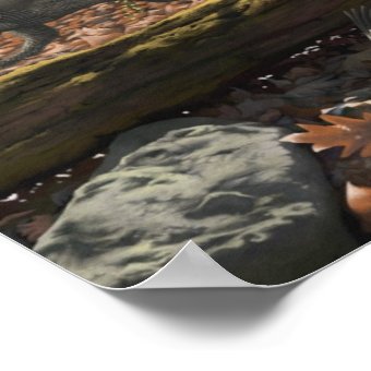 Mei Long Print | Zazzle