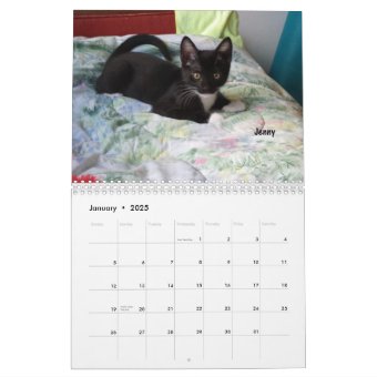 Melt Your Heart - MEOW 2016 Kitten Calendar | Zazzle