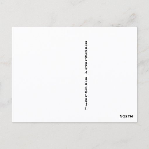 Menopause Lane Postcard | Zazzle