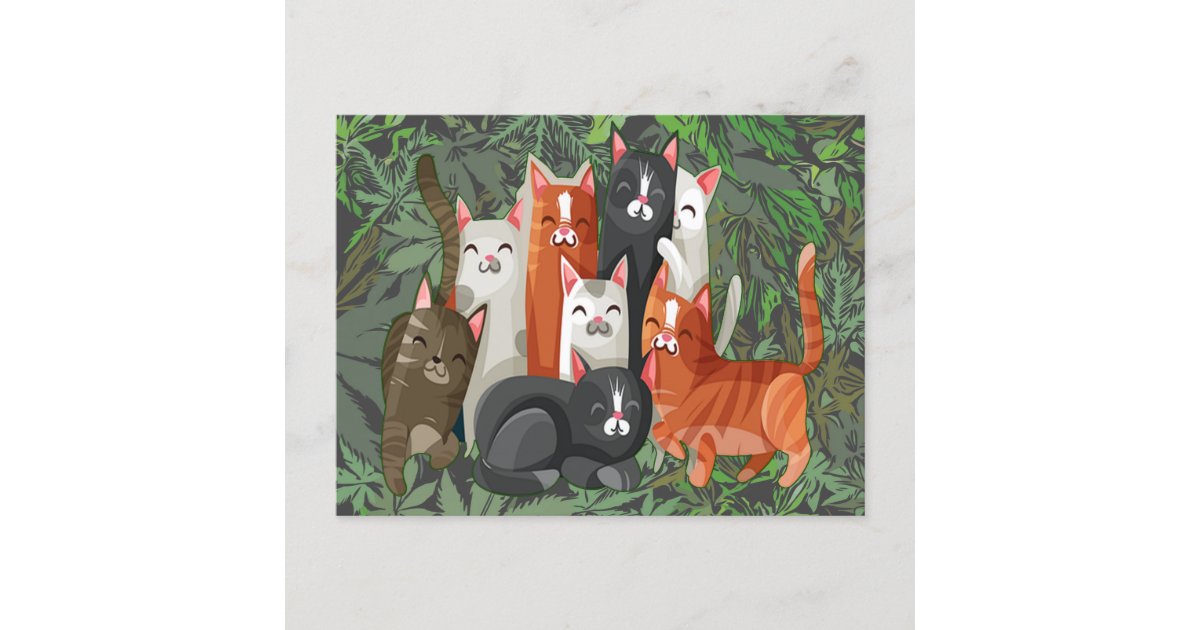 Meow Gang Postcard | Zazzle