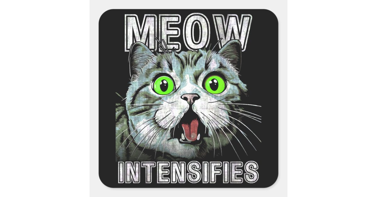 Meow Intensifies Scottish Fold Cat Meme Square Sticker | Zazzle