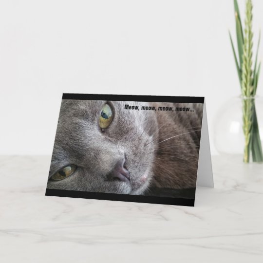 Meow Kitty Cat Birthday Card | Zazzle.com