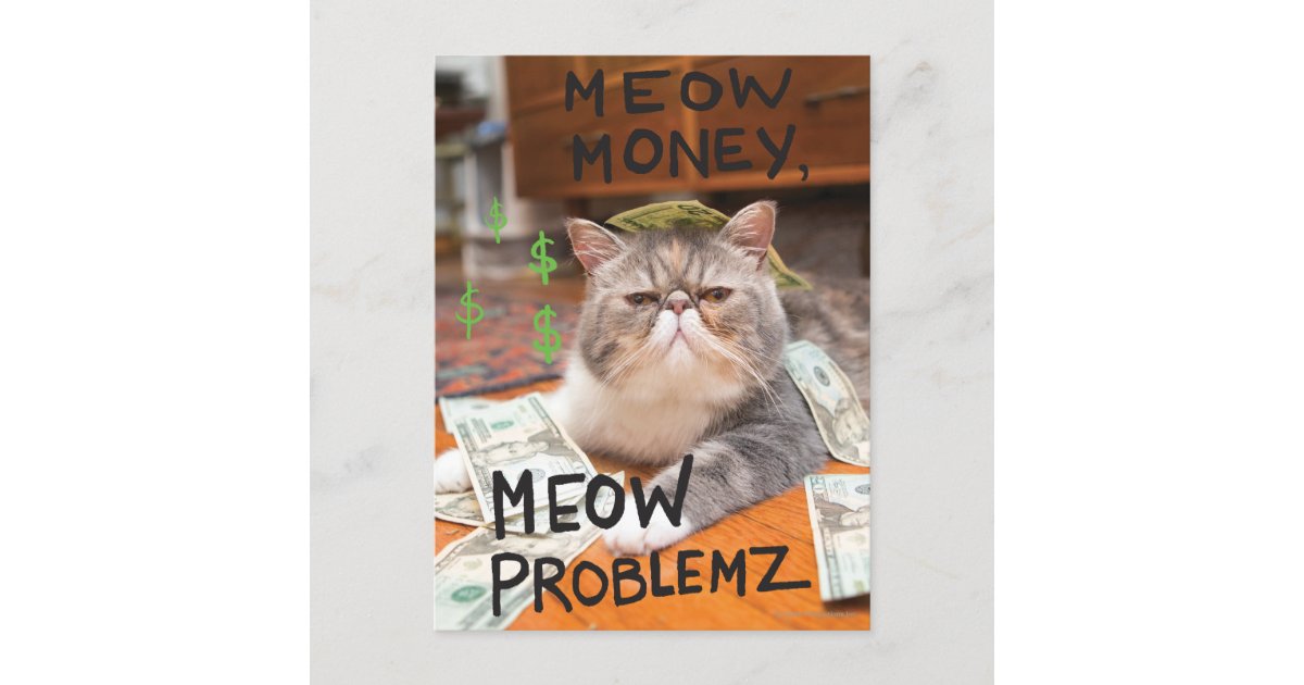 Meow Money, Meow Problemz Postcard | Zazzle