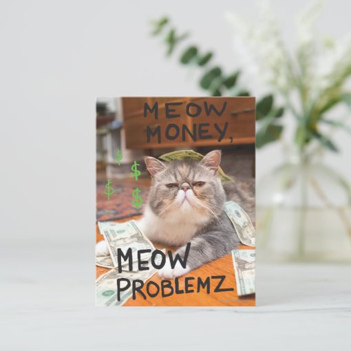 Meow Money, Meow Problemz Postcard | Zazzle
