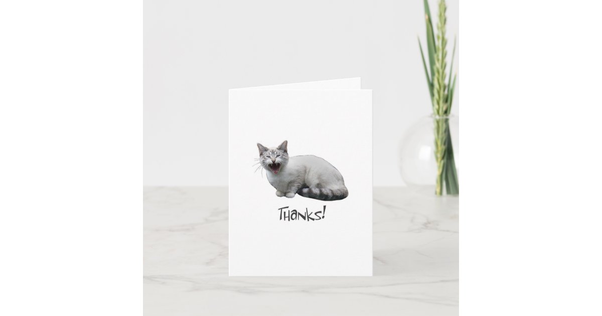 Meowing Cat Thanks Thank You Card | Zazzle