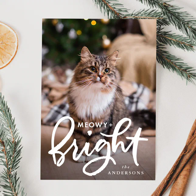 Meowy and Bright Cat Photo Holiday Card | Zazzle