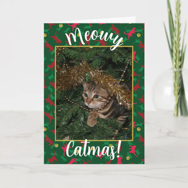 Meowy Catmas - Red Green Christmas Cat Pattern Holiday Card | Zazzle