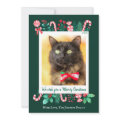 Meowy Christmas Cat Photo Christmas Holiday Card | Zazzle