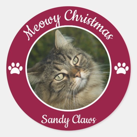 Meowy Christmas Cute Cat Photo with Name Paws Classic Round Sticker ...