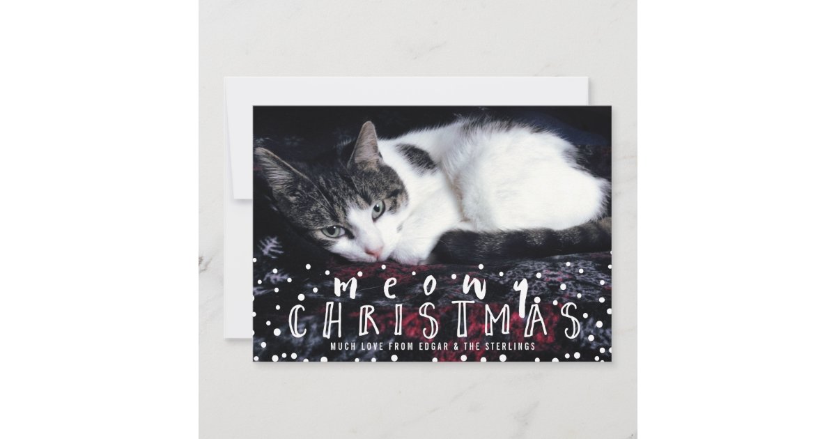 Meowy Christmas Snow Frame Cat Holiday Photo | Zazzle.com