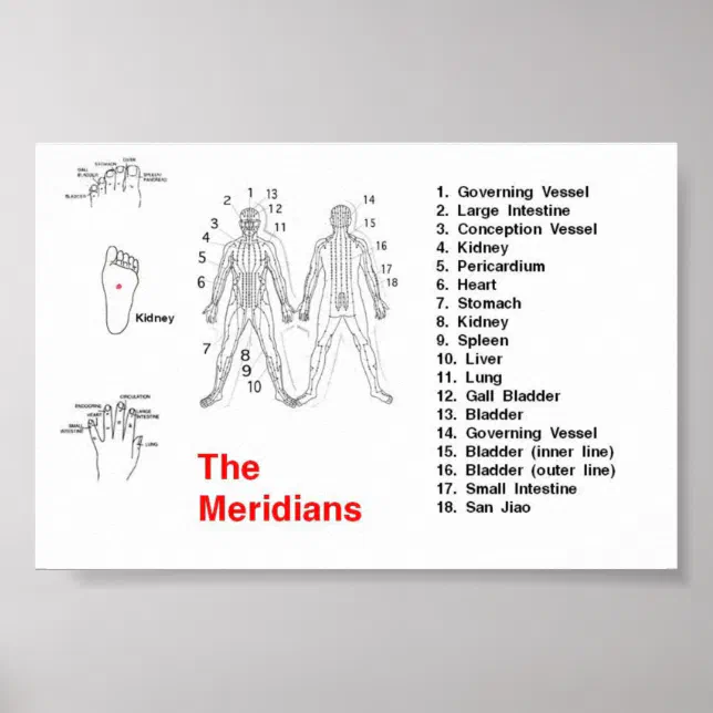 Meridian Poster | Zazzle