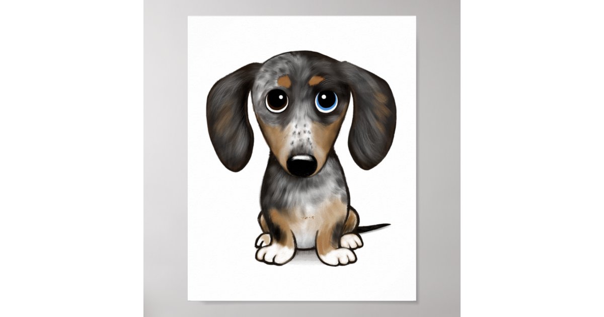 Merle Dapple Dachshund Cute Wiener Dog Poster | Zazzle