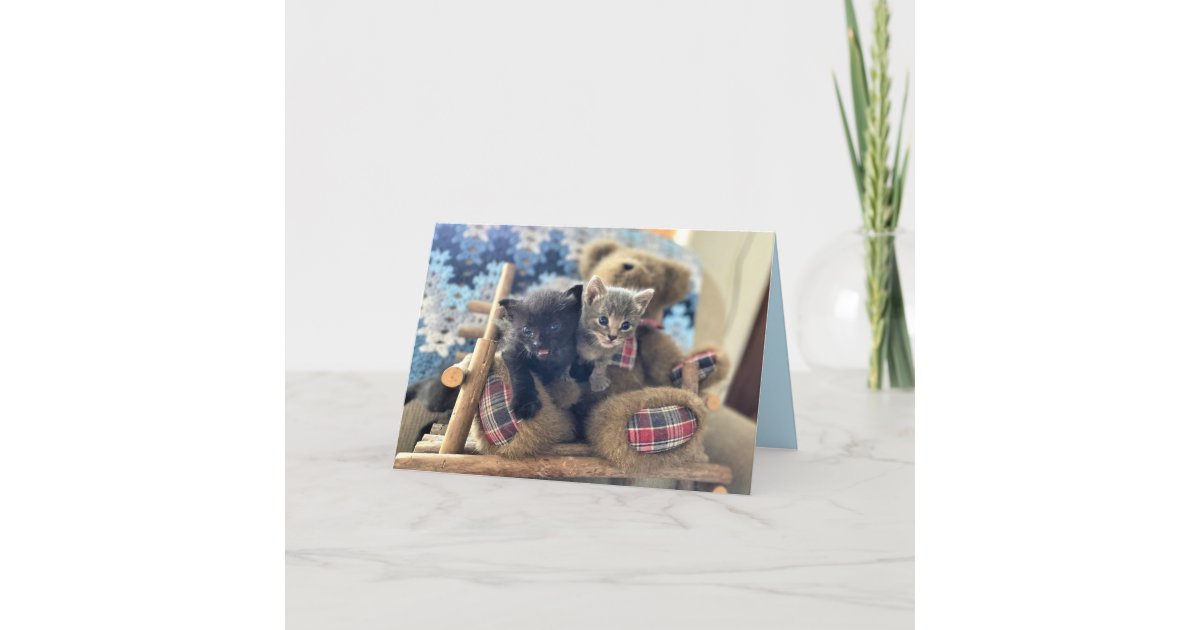 Merlin & Guinevere - Cat / Kitten Birthday Card | Zazzle