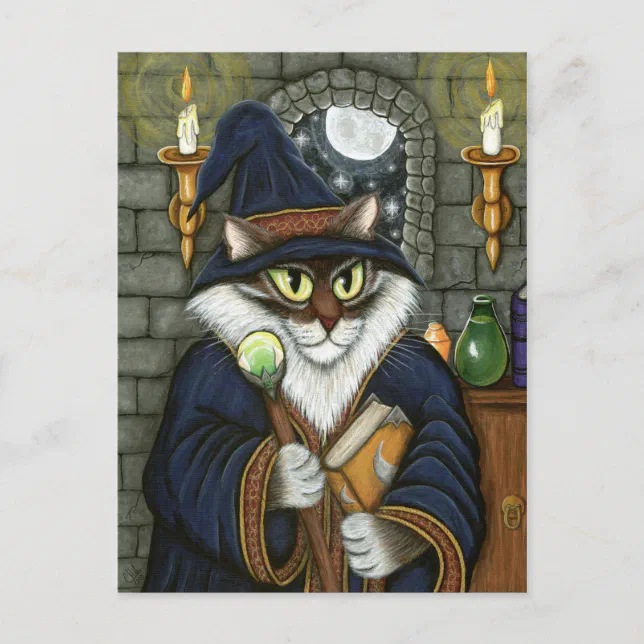 Merlin Magician Wizard Cat Magic Sorcerer Fantasy Postcard | Zazzle