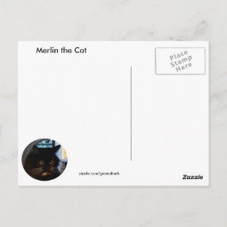 Merlin the Cat Quote Postcard | Zazzle