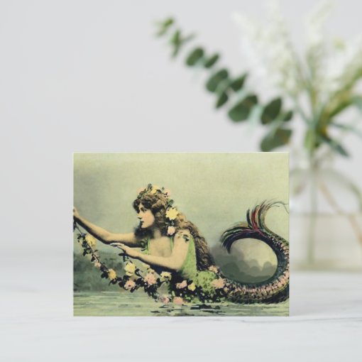 Mermaid and Roses Postcard | Zazzle